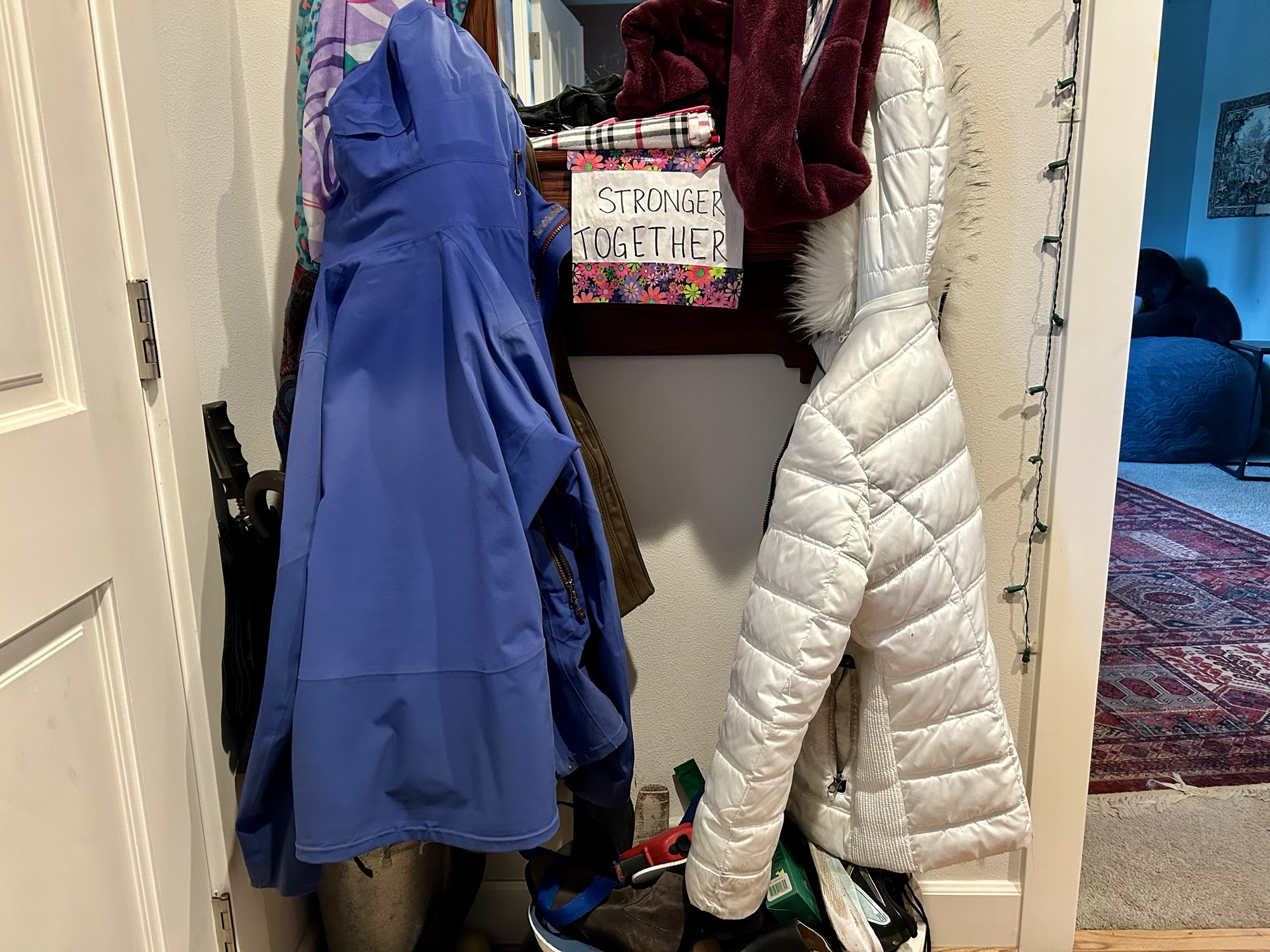 Understanding Choices: The Illogical Coat Dilemma – Surprised By Joy